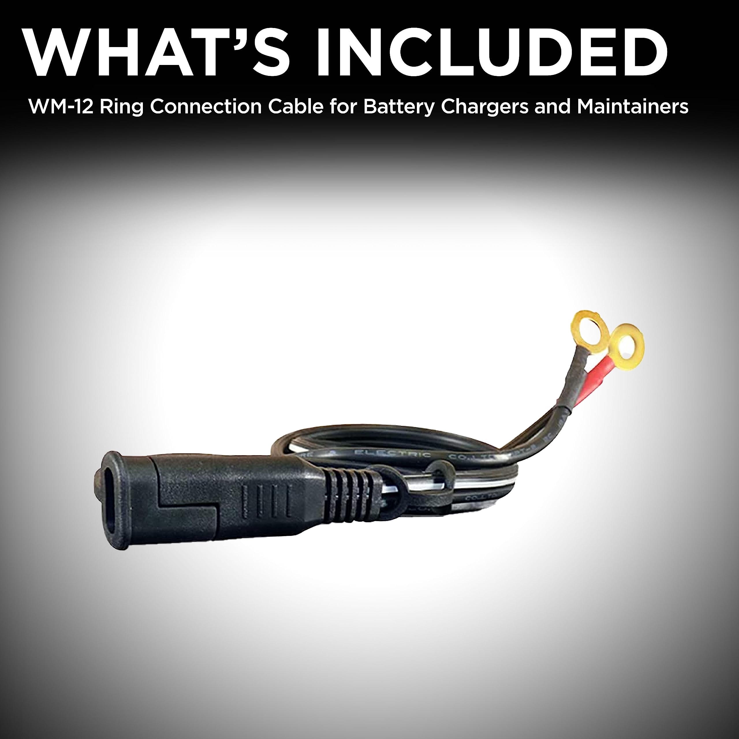 Mua Schumacher WM-12 Ring Connection Cable for Battery Chargers and ...
