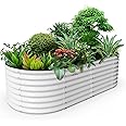 Amazon.com : A ANLEOLIFE 8x4x2ft Galvanized Raised Garden Bed Kit, Oval ...