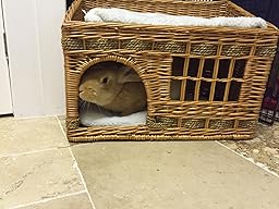 Woven 2 Floor Indoor Cat Den. This Home For Your Cats Comes Complete ...