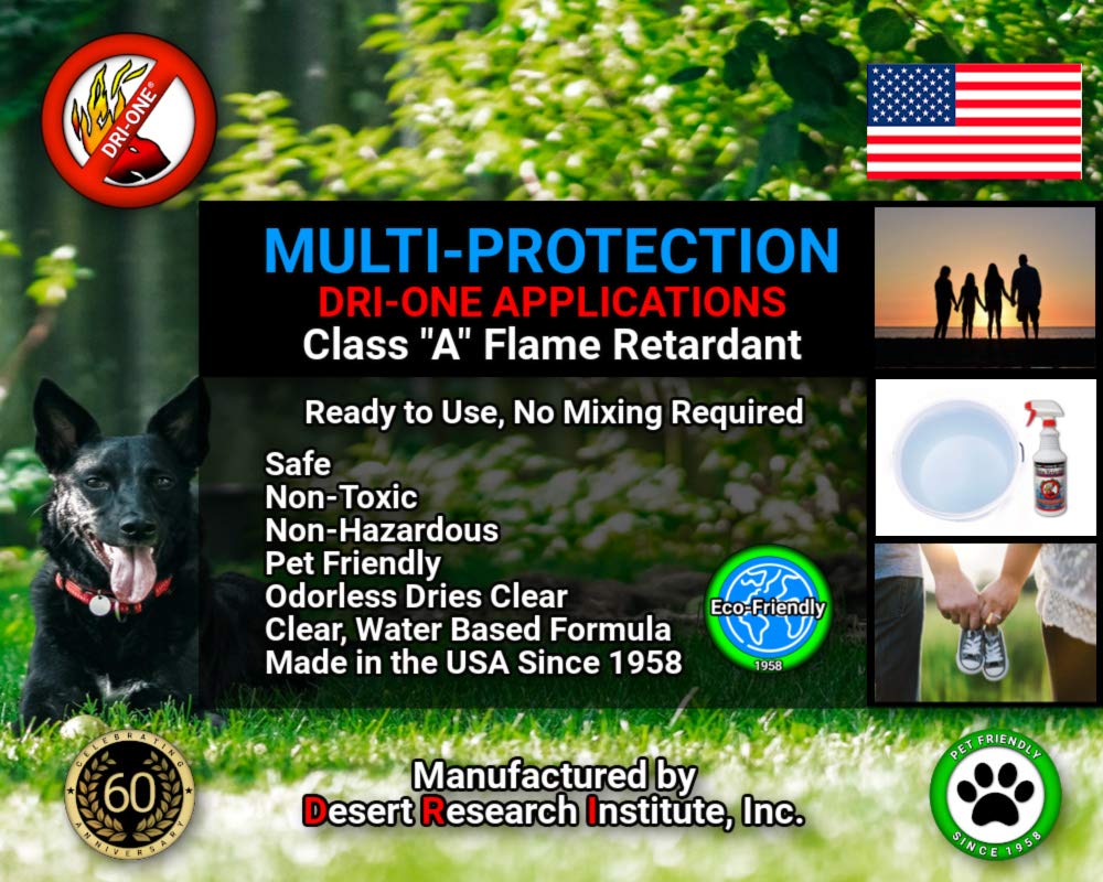 Mua Fire Retardant Spray for Fabric, Wood, Thatch & More - Class A ...
