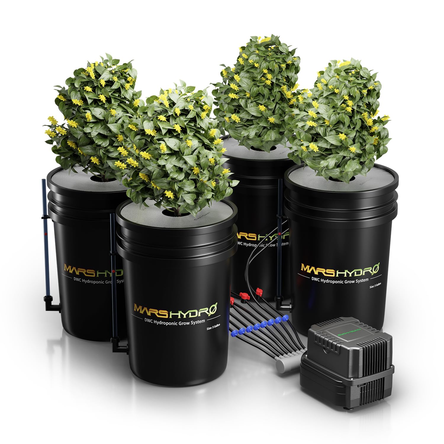 MARS HYDRO DWC Hydroponics Grow System 5 Gallon Deep Water Culture with Recirculating Drip ...