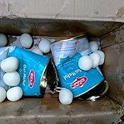 Bikaji Rasgulla (GOL-Matol) 1.25kg: Amazon.in: Grocery & Gourmet Foods