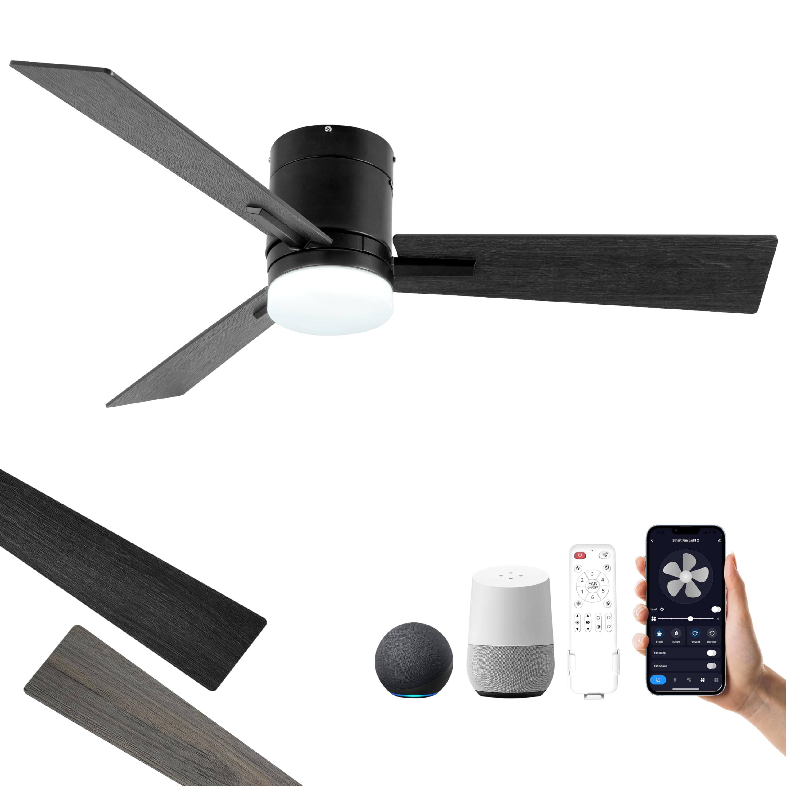 BAYSQUIRREL Low Profile Ceiling Fans with Lights,Smart Ceiling Fan with ...