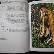 Buy Snakes of India: The Field Guide Book Online at Low Prices in India ...