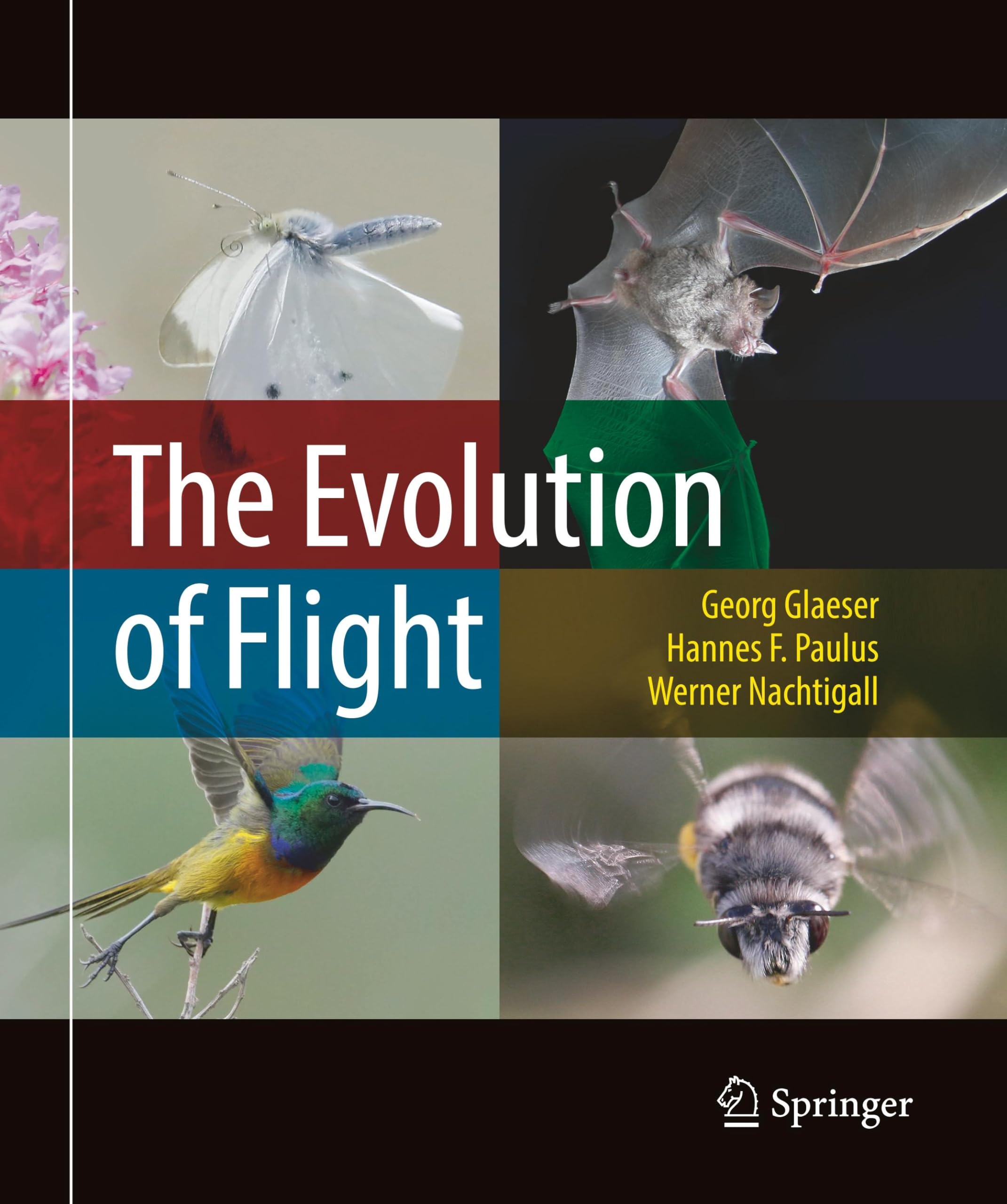 Mua The Evolution of Flight trên Amazon Nhật chính hãng 2025 | Fado