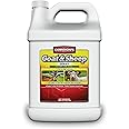 Amazon.com: GORDON'S Goat & Sheep Spray, 1 Gallon, 7631072 : Patio ...