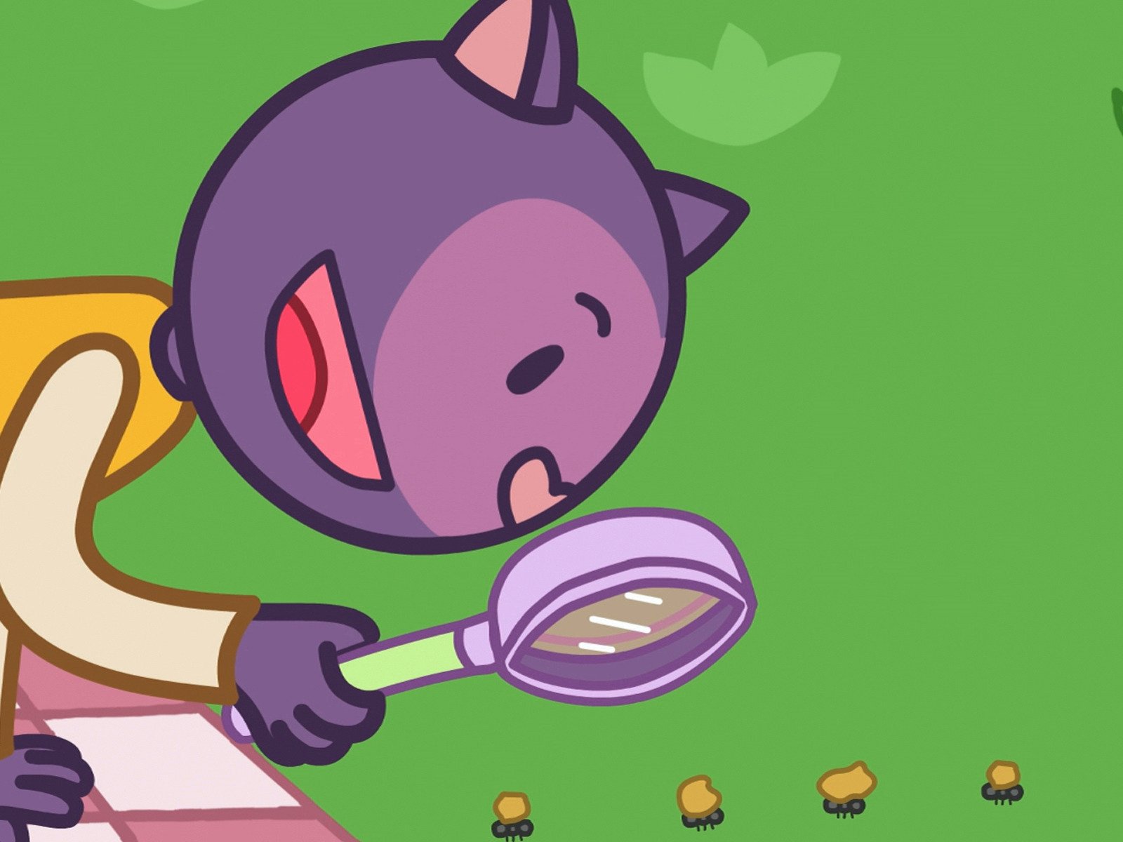 Watch Misha the Purple Cat | Prime Video