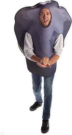 Amazon.com: The Rock Halloween Costume - Solid Boulder, Stone Funny ...