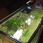 Interpet Fish Pod Glass Aquarium Fish Tank - 48 L: Amazon.co.uk: Pet ...