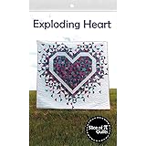 Amazon.com: Slice of Pi Quilts Exploding Heart Pattern : Arts, Crafts ...
