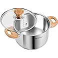 Amazon.com: Daniks Oslo Stainless Steel Stockpot with Glass Lid, Induction 2 Quart, Stay-Cool ...