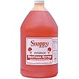 Amazon.com : Snappy Orange Sno Cone Syrup, 1 Gallon : Beverage ...