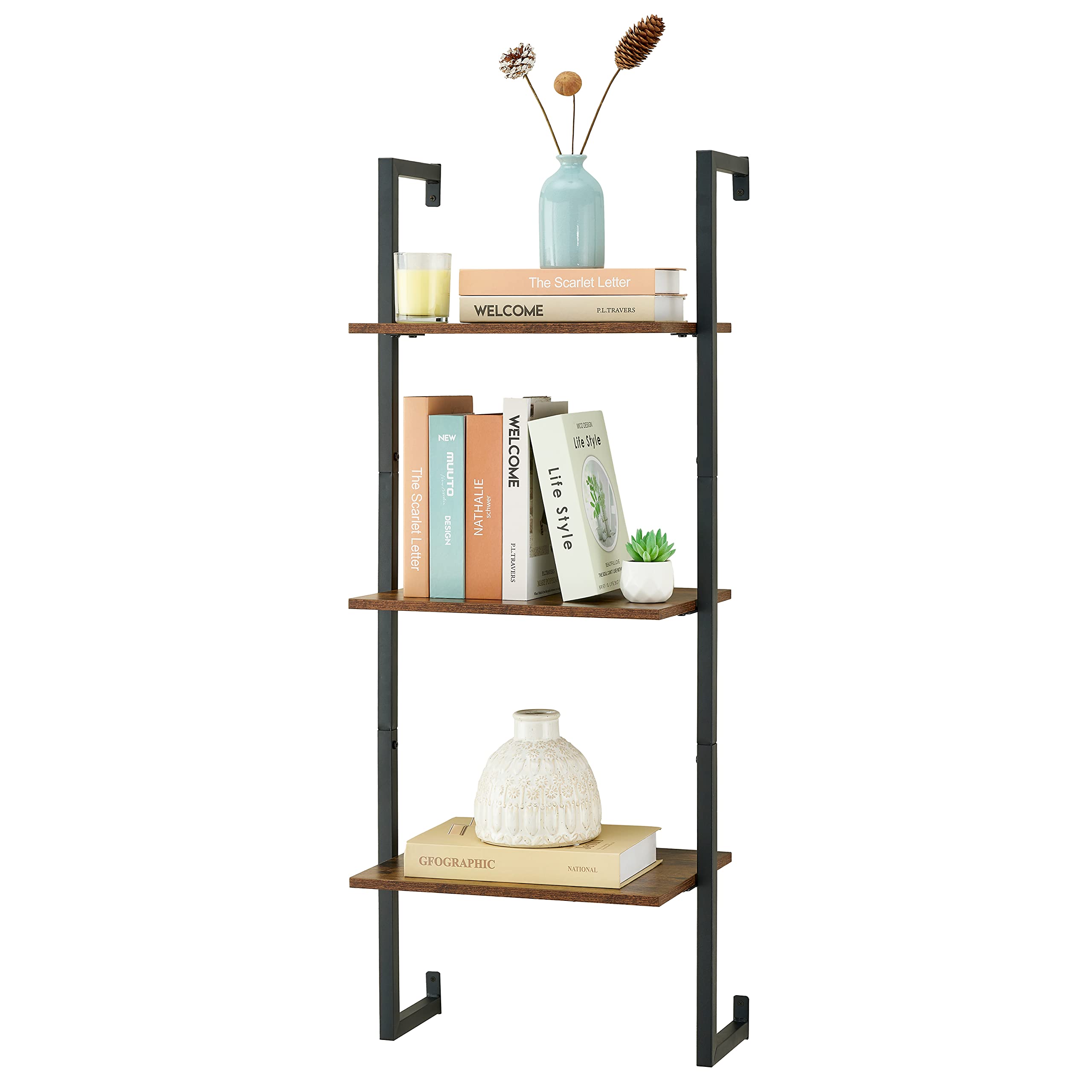 Tajsoon Ladder Shelf, 3-Tier Bookshelf, Wall Mounted Ladder Shelf ...