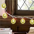 Egcol 8.5FT LED Lemon String Lights, Plug in Summer Fairy Lights with 10 Lemon Slicer Lights ...