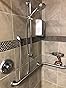 Moen 3667EPBN Showering Acc-Core Eco-Performance Handheld Showerhead ...