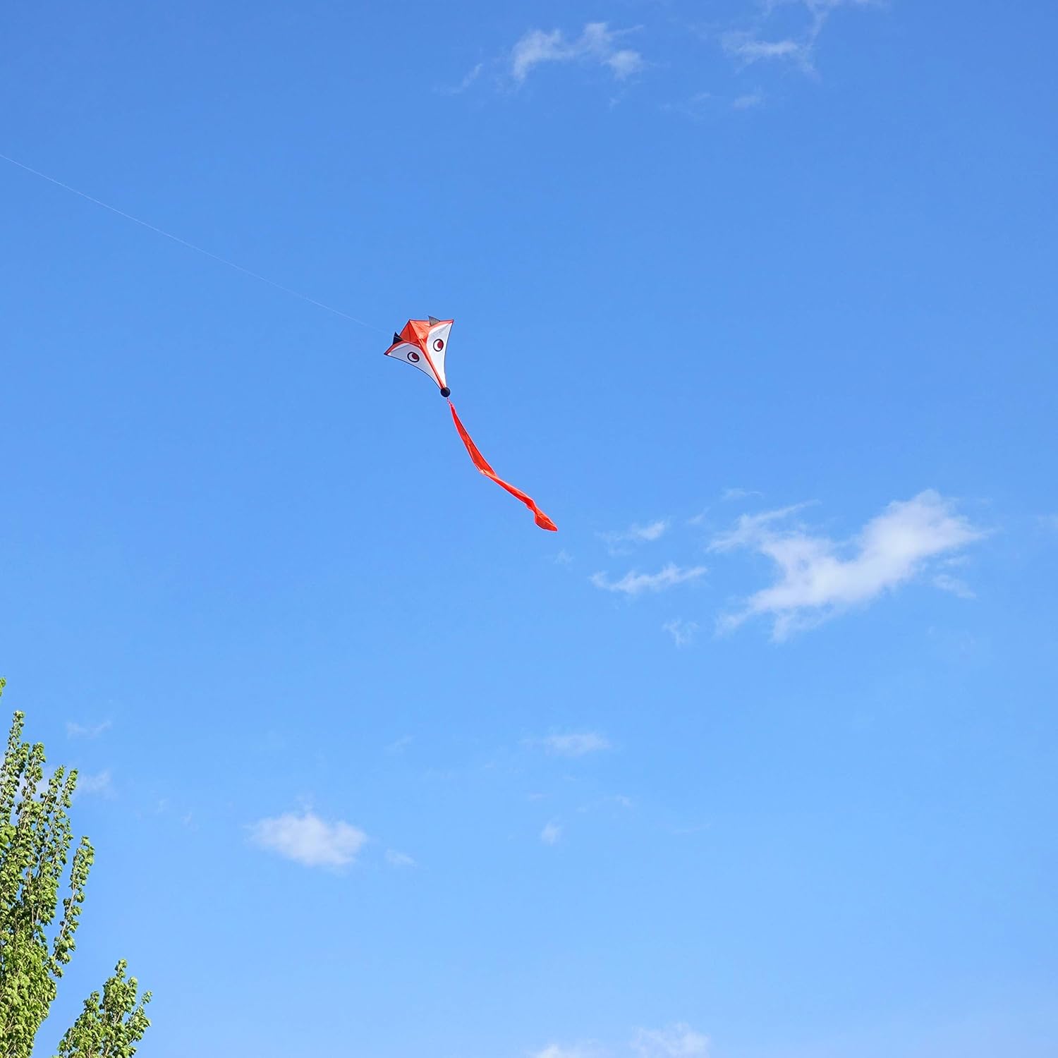 emma kites Mr. Fox Diamond Kite for Kids Adults Beginners Easy to Fly ...