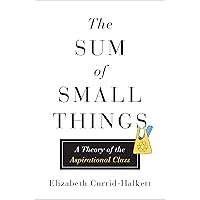 The Sum of Small Things: A Theory of the Aspirational Class: Currid ...