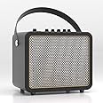 Amazon.com: Dozzly 10W Electric Guitar Amp Portable and Rechargeable ...