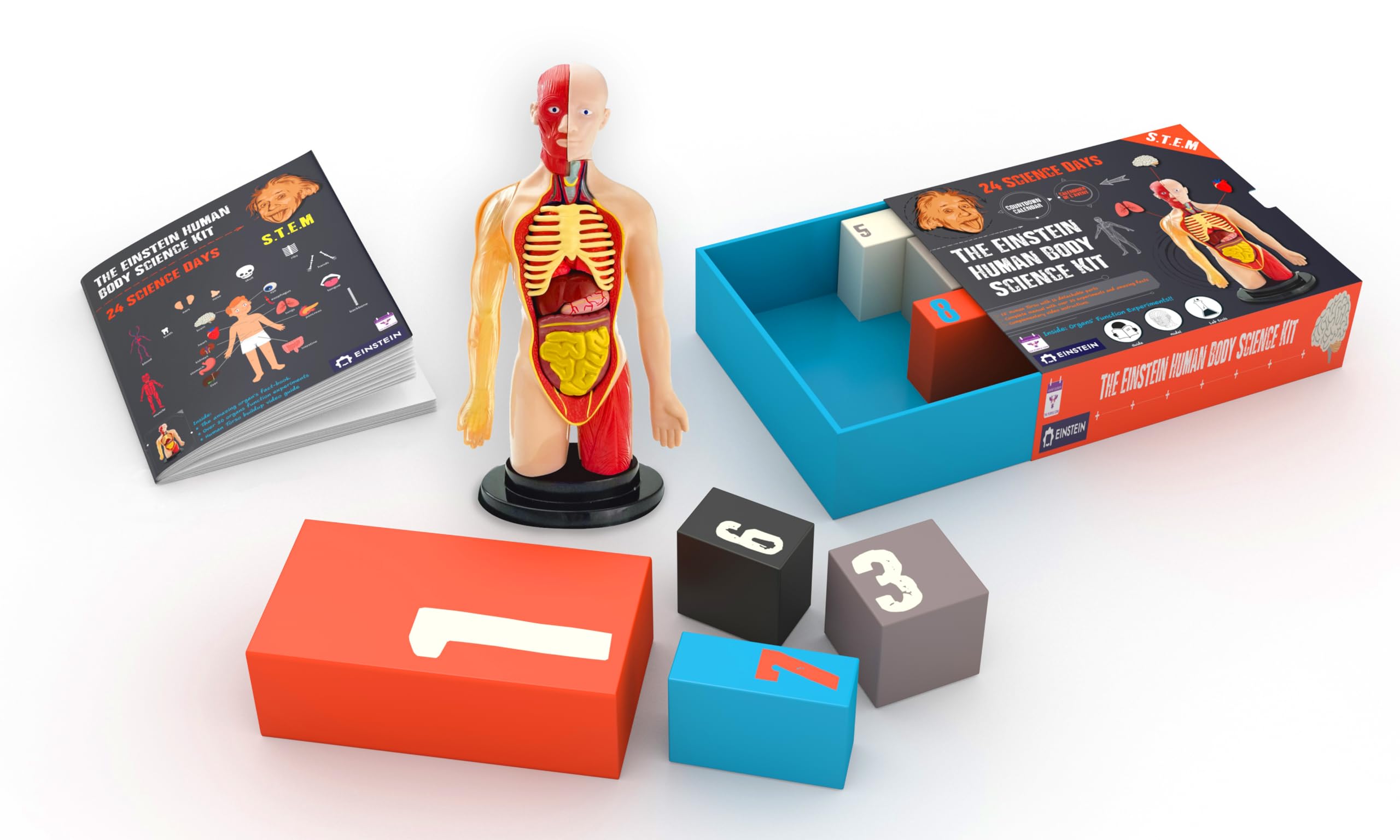 Mua Einstein Human Body Science Kit : unique and original 24 S.T.E.M ...