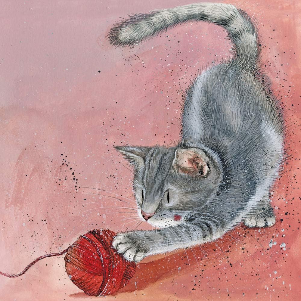 ALEX CLARK Ball Of Wool Cat Blank Card – BigaMart