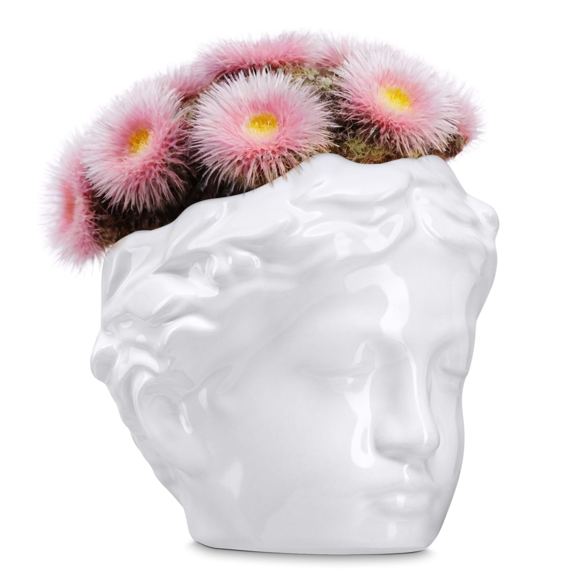 DOMIVKA Small Head Planter Ceramic Face Planter Pots Succulent Pot ...