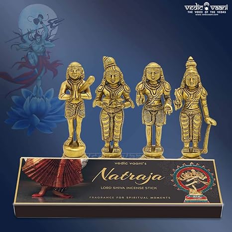Vedic Vaani Divine Standing Brass Nalver/Naalvar/Nalvar Idol Set of The ...
