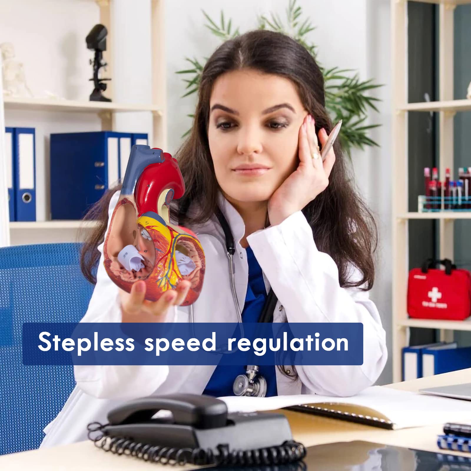 Mua LVCHEN 2X Enlarged Anatomical Heart Model - Human Heart Model with ...