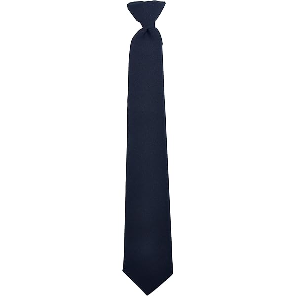 Christian Mens Necktie Eagles Wings Men's Inspirational Necktie - First ...