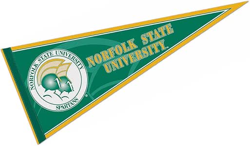 Amazon.com : College Flags & Banners Co. Norfolk State University ...
