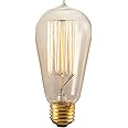 Bulbrite 136019 Pack of (2) 60 Watt Antique Clear Dimmable ST18 Shaped ...