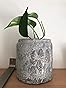 Garden Trading Withington Pot Crafted In Ceramic Large - H15.5 X ...