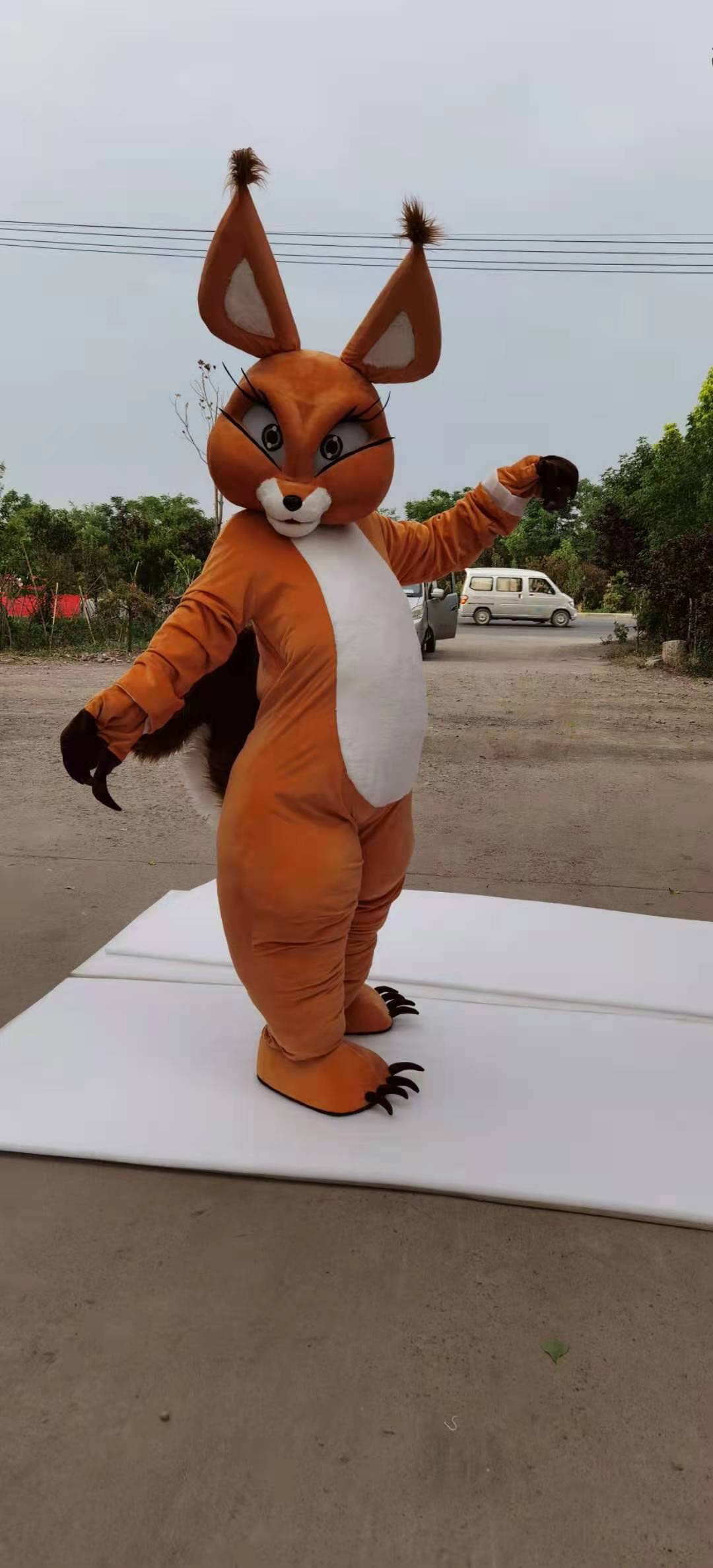 Mua Fox Squirrel Chipmunk Fursuit Fullsuit Teen Costumes Child Full ...