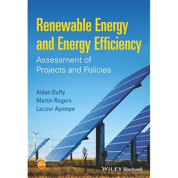 Renewable Energy System Design Book
