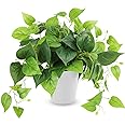 Amazon.com: CEWOR Artificial Plants Fake Pothos with Plastic Pot ...