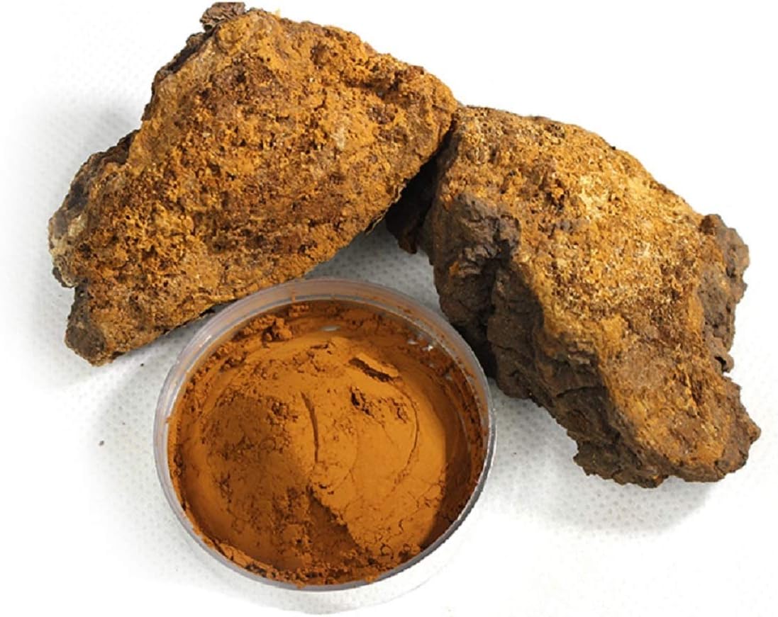 Amazon.com: Organic Chaga Mushroom Powder Harvested from Live Birch ...