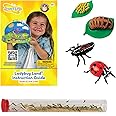 Amazon.com: Insect Lore Live Baby Ladybug Larvae - Ladybug Growing Kit ...