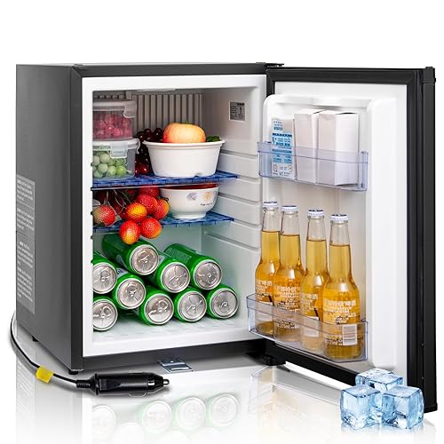 Techomey Mini Fridge with lock 110V/12V Compact Refrigerator 1.4 Cu.Ft ...