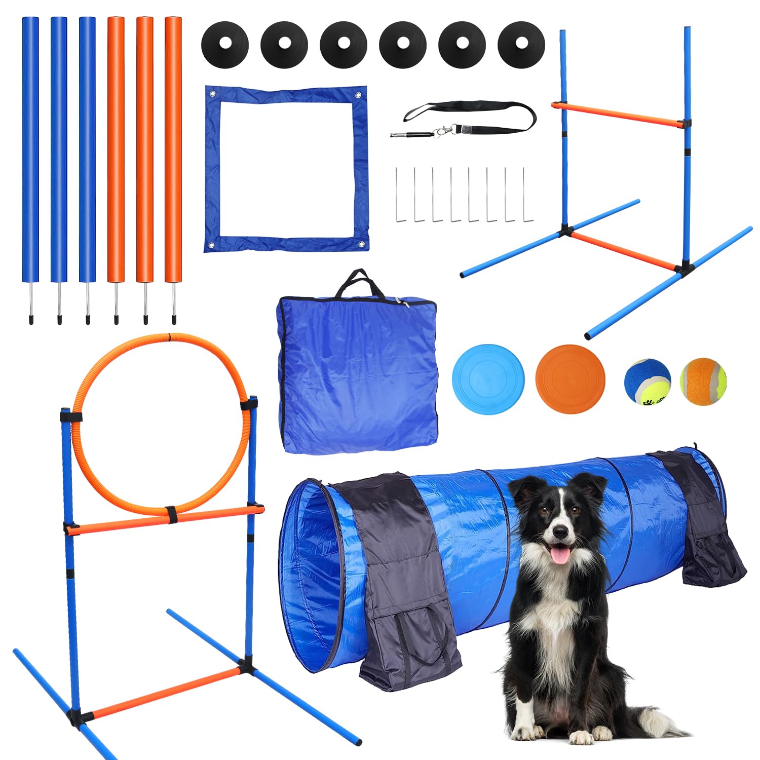 Mua Dog Agility Training Equipment Set Outdoor Indoor, Tire Jump ...