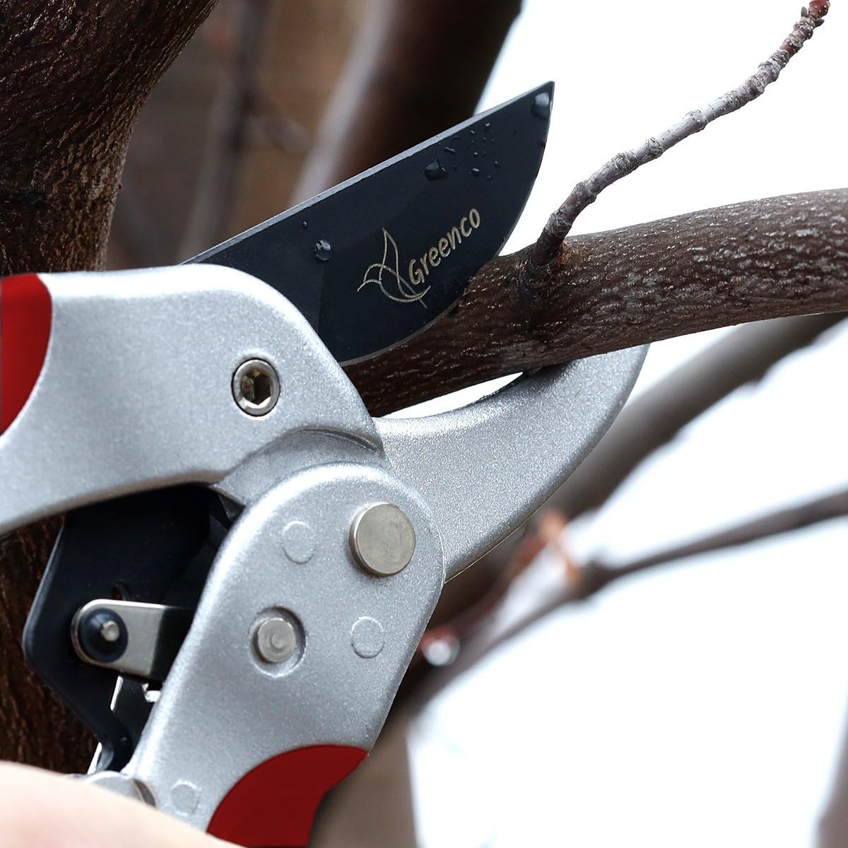 Greenco Ratchet Secateurs Gardening, Heavy Duty Ergonomic Garden Hand ...