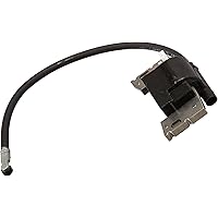 Amazon.com: 592846 Ignition Coil Replace 799651 691060 401577 499447 ...