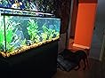 Aqua One Horizon Aquarium Fish Tank & Cabinet 122cm 182L : Amazon.co.uk ...