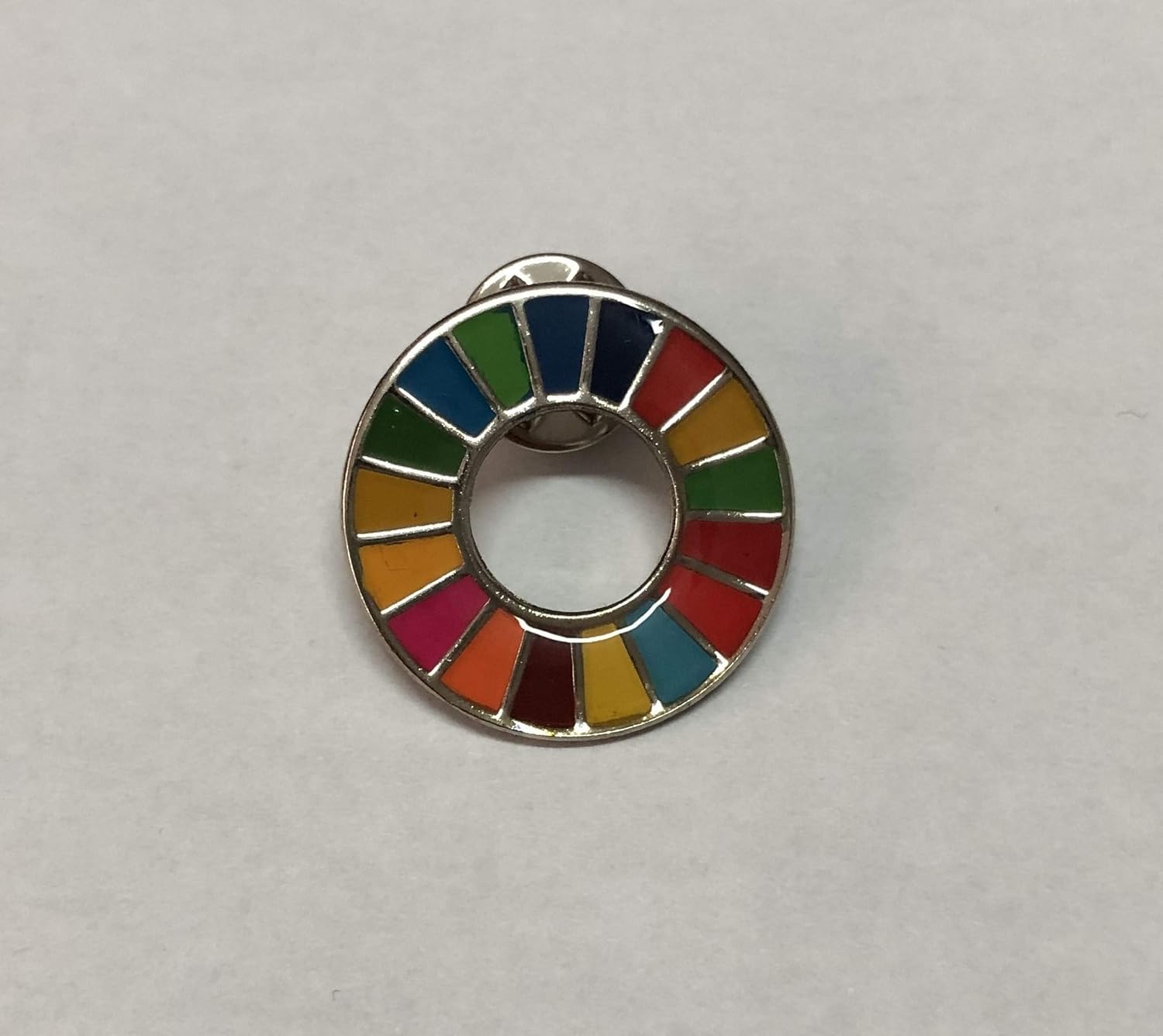 PIN ODS OBJETIVOS DESARROLLO SOSTENIBLE - MAXIMA CALIDAD: Amazon.es ...