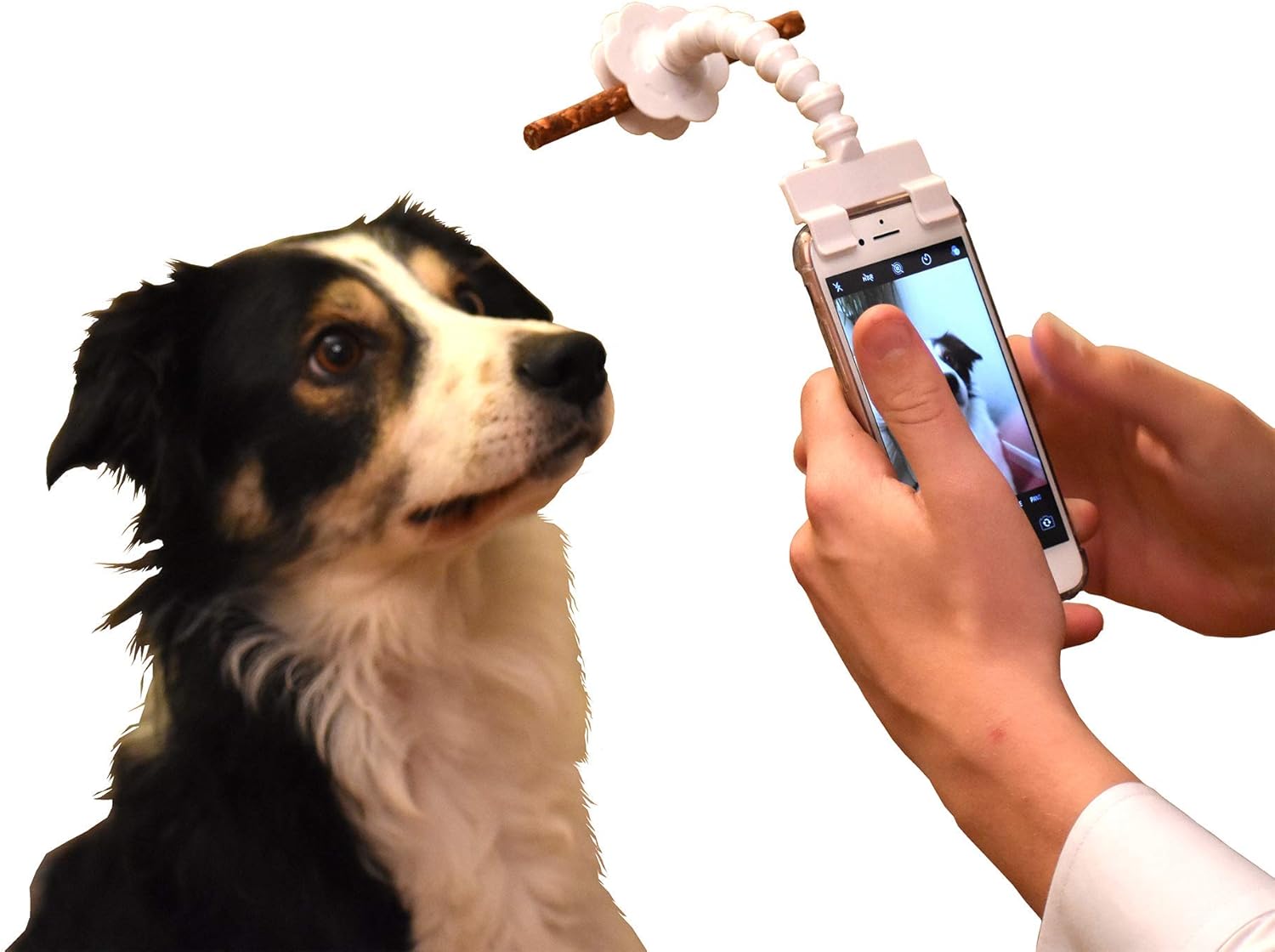 Dog Selfie Stick Portable Pet Selfie Stick Dog Cat Photographing ...