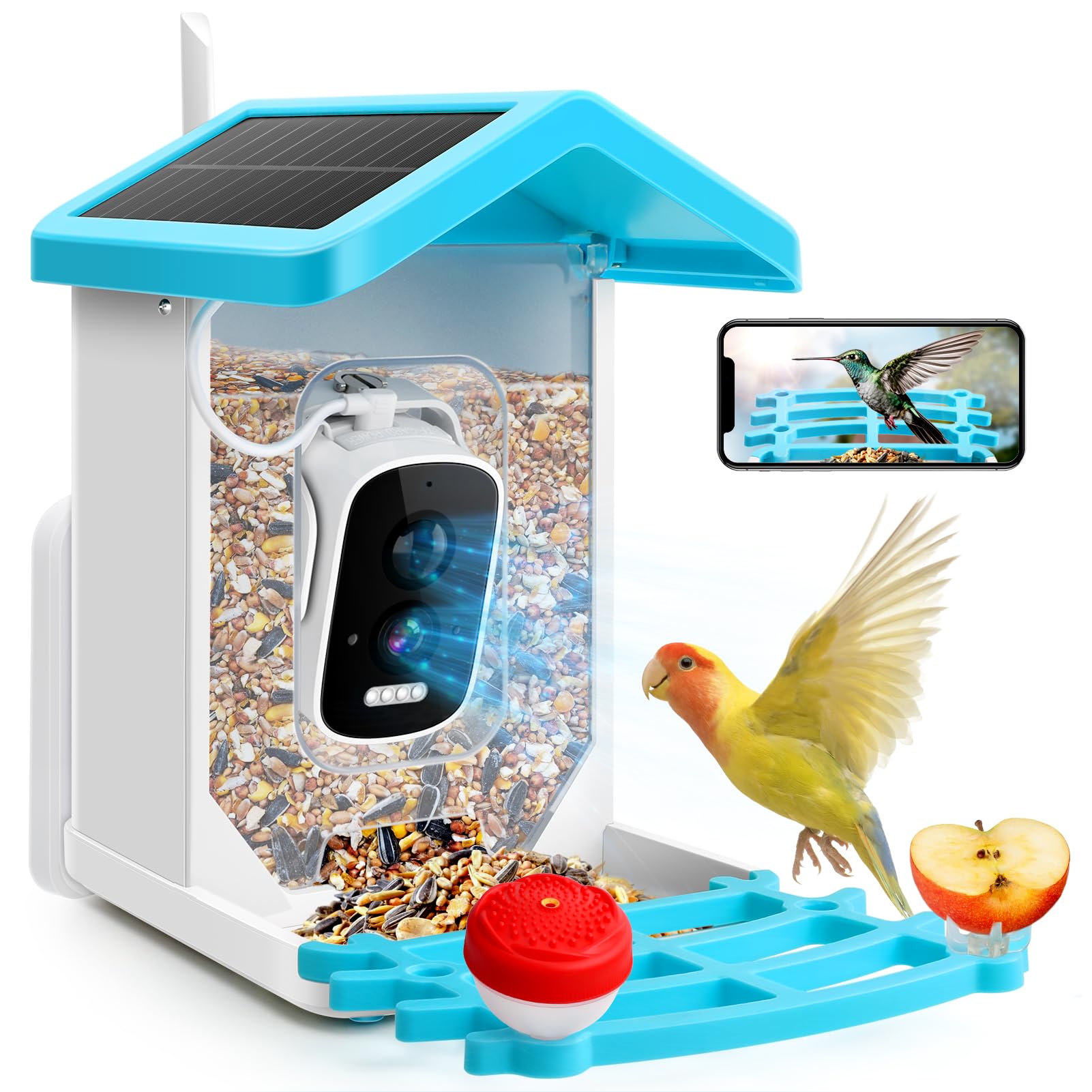 Bird Feeder with Camera, 2K HD AI Identify Bird Species & 64G SD Card ...