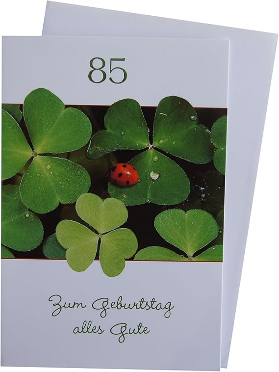 Glückwunschkarte Grußkarte 85. Geburtstag 52-2585: Amazon.de ...