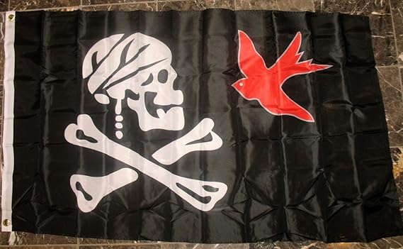 Amazon.com : Jack Sparrow Pirate Flag 3'x5' Jolly Roger Banner : Garden ...