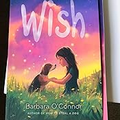 Wish: O'Connor, Barbara: 9780374302733: Amazon.com: Books