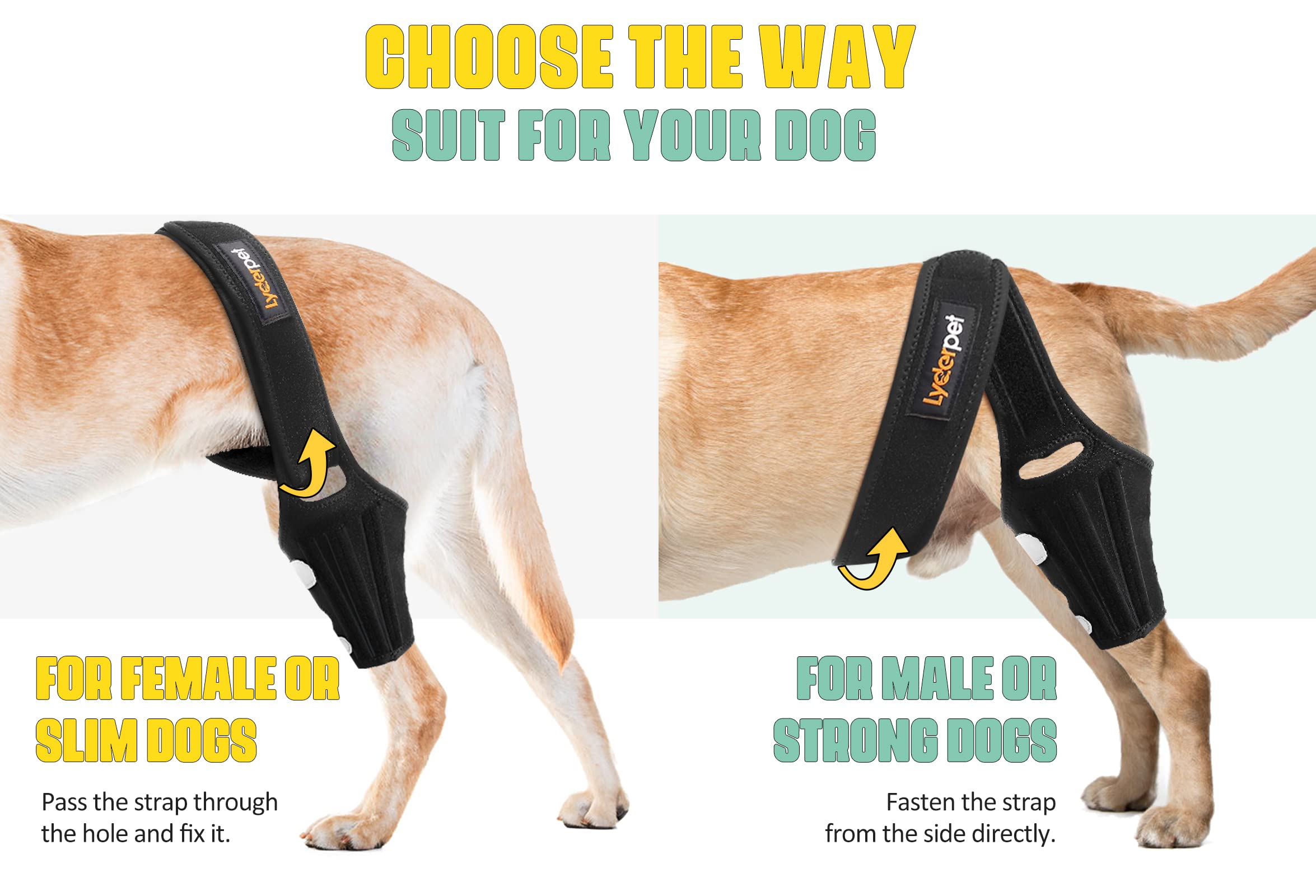 Mua Lyderpet Dog Knee Braces for Back Leg for Support, Cruciate ...