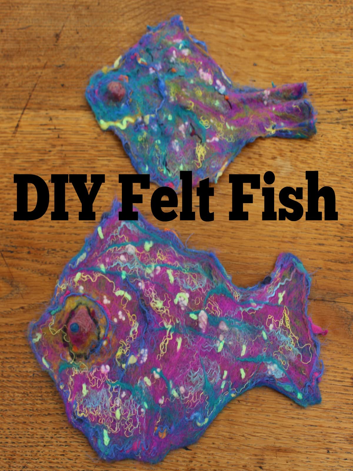 Amazon.com: DIY Felt Fish : Sarah J Weldon, Annie Simpson, Sarah J ...