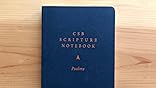 CSB Scripture Notebook, Psalms: Read. Reflect. Respond.: CSB Bibles by ...